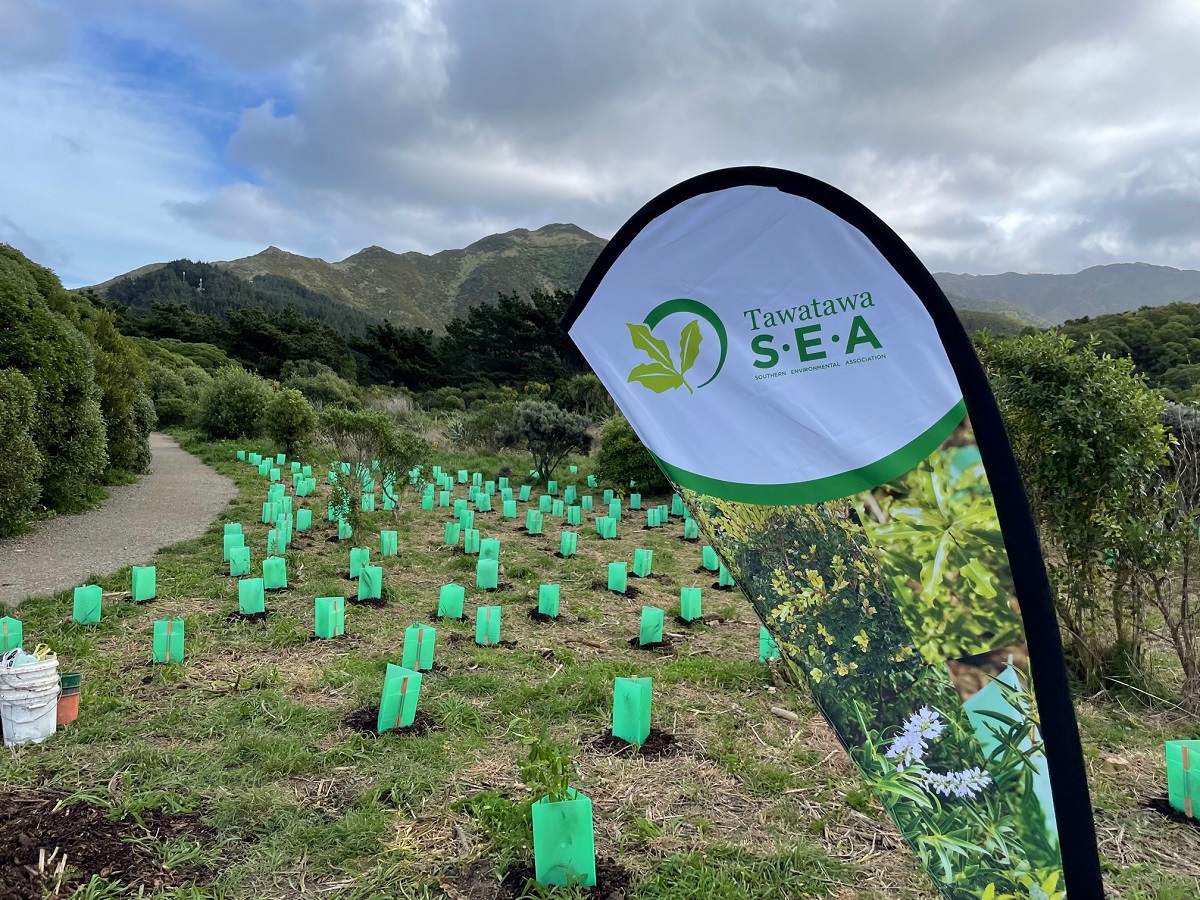 About the Southern Environmental Association (SEA) – Tawatawa Reserve