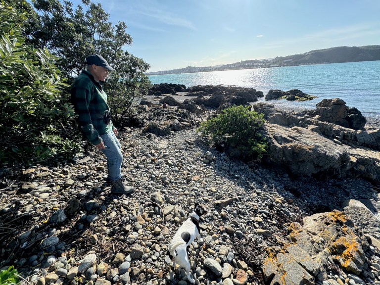 Poppy’s Experience of Penguin Avoidance Training – Tawatawa Reserve